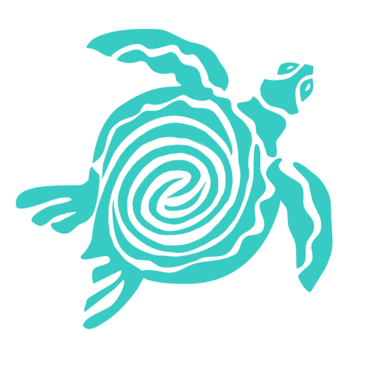 Home - Jolly Turtle House